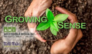 Shows – Tell Tale Productions